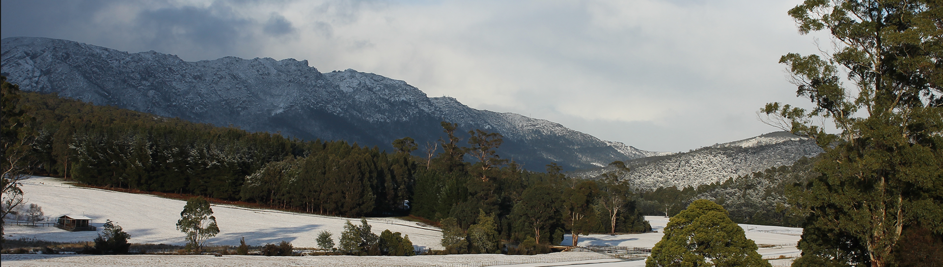 landscape_image | Simon Hackett