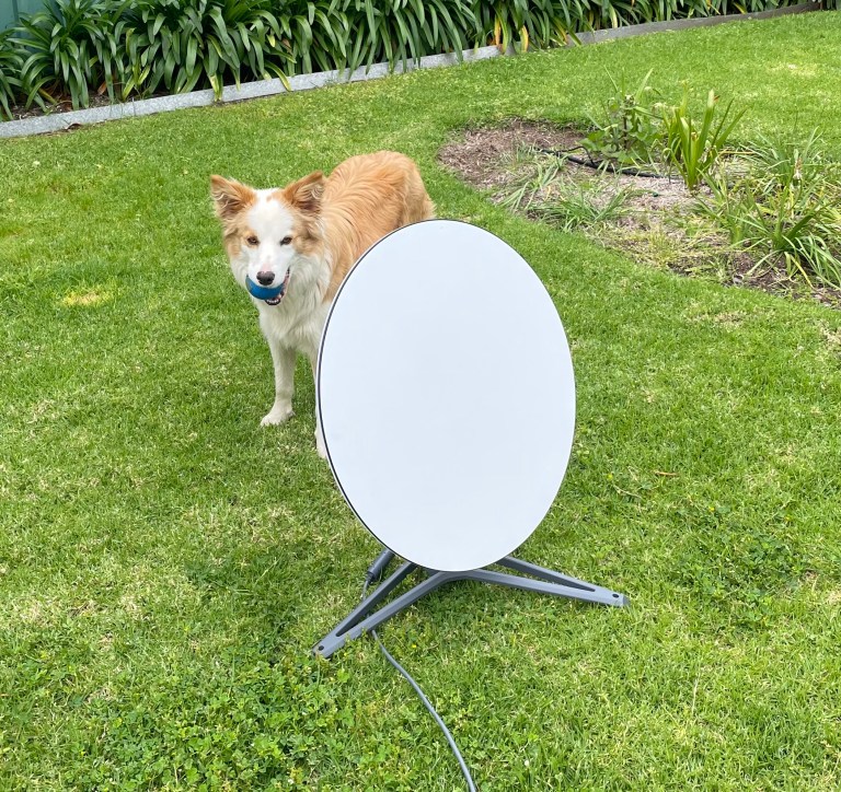 Fixing Starlink “Poor Ethernet Connection” | Simon Hackett